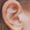 Titanium Gold Pvd Plating Curved Rook,daith Piercing Barbell..16g..8mm ...