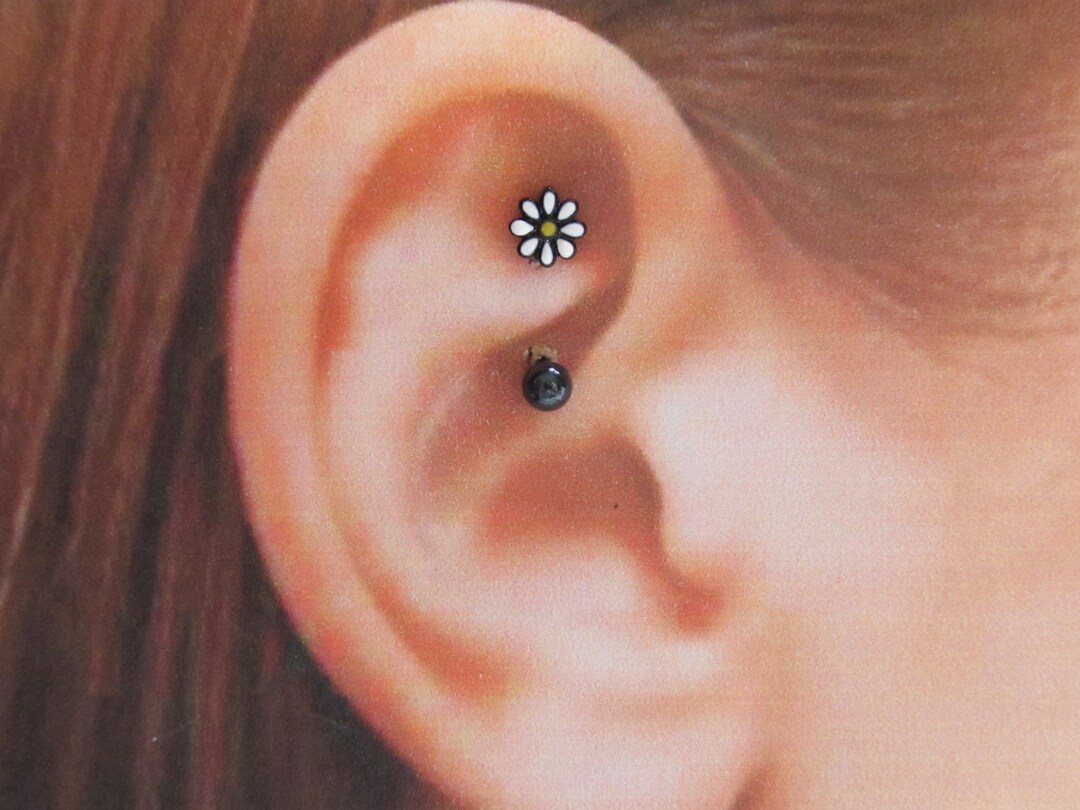 Rook Piercing Titanium Plated Black Flower Curved Barbell..16g..8mme10 ...