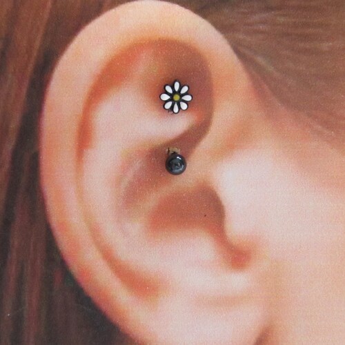 Rose Gold Plated Spike Curved Rook Barbell..16g..8mm - Etsy