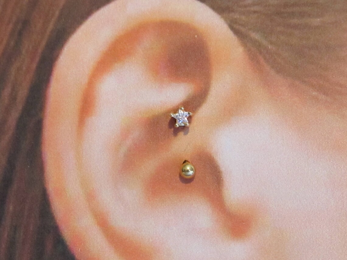 Golden Daith Piercing Starsurgical Steel Barbell..16g..8mm | Etsy