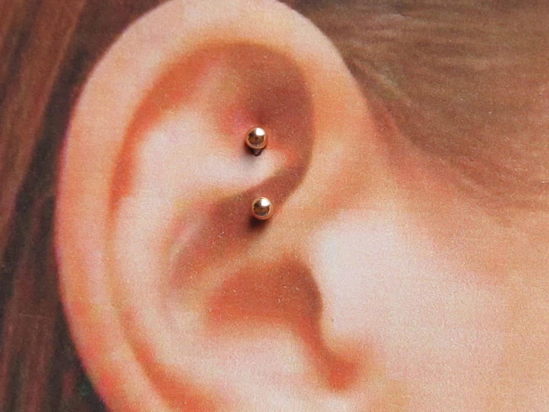 Rose Gold Plated Rook,daith Piercing Surgical Steel Curved Barbell..16g ...