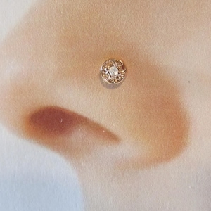 Rose Gold Plated Round Ornate Cz Nose Ring Stud..20g..straight or L ...