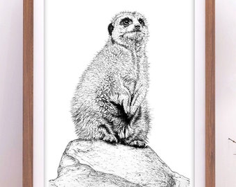 Meerkat Art Print Scratchboard Art African Animals - Etsy