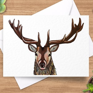Stag Greeting Card Stag Card 5 X 7 Card Wildlife Greeting - Etsy