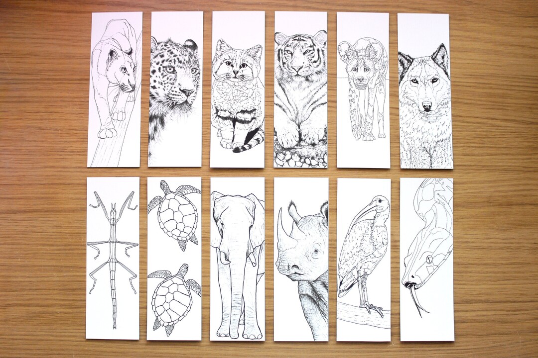 Set of 12 Bookmarks, Bookmark Set, Colour-in Bookmarks, Wildlife ...