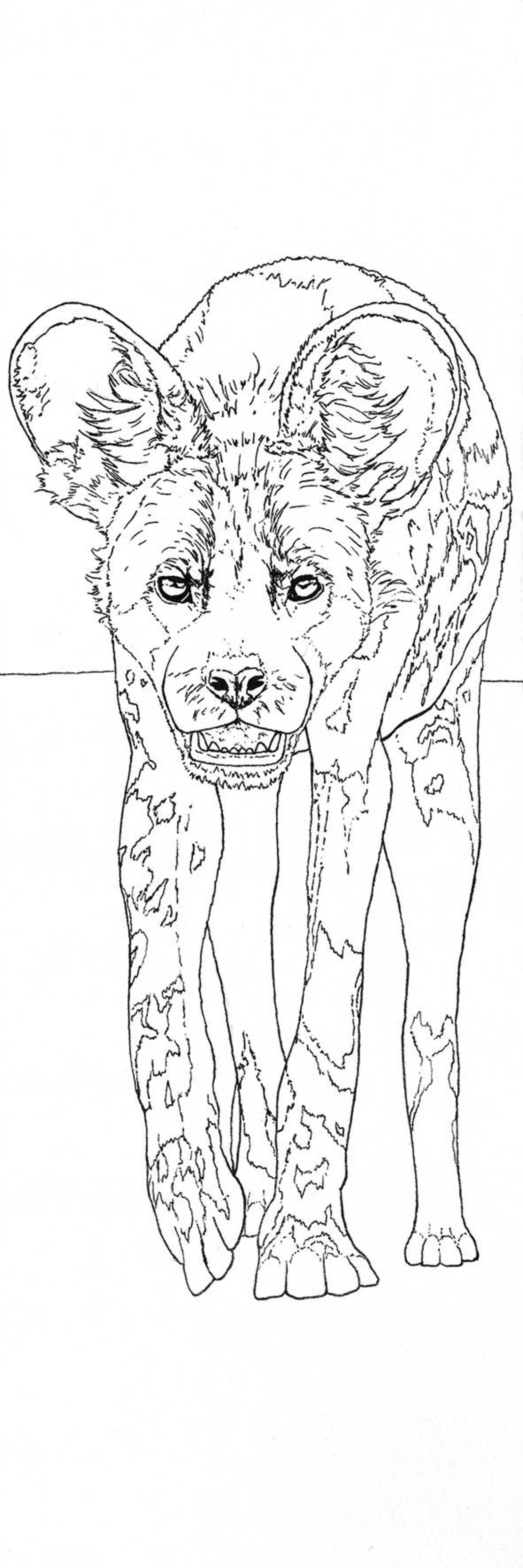Hunting Dog Bookmark Print, Colour-in Bookmark, Kids Colouring Bookmark ...