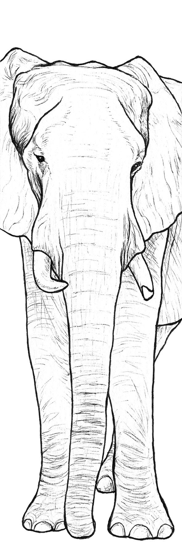 Elephant Bookmark Print, Colour-in Bookmark, Kids Colouring Bookmark ...