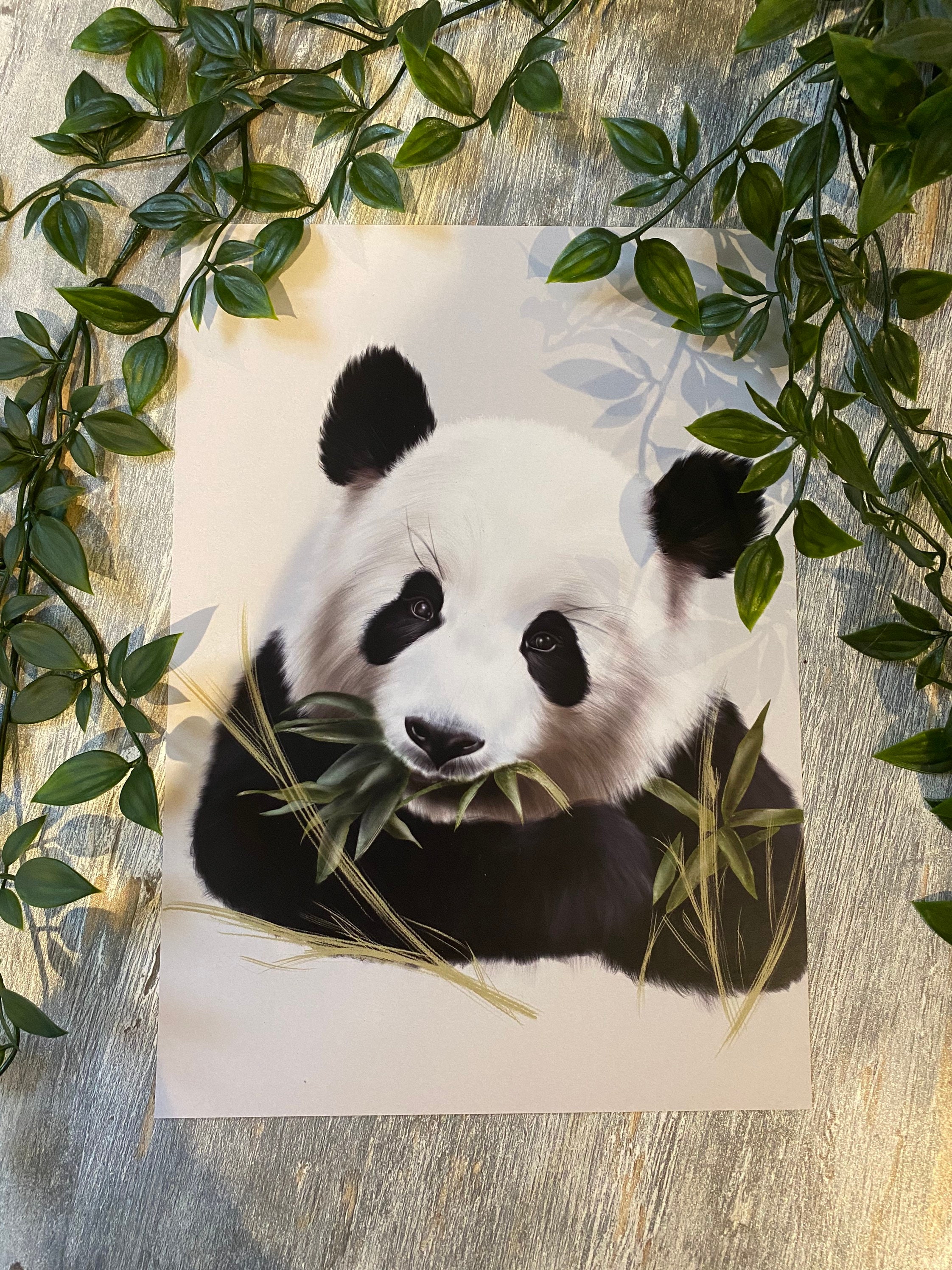 A4 Panda Portrait - Etsy