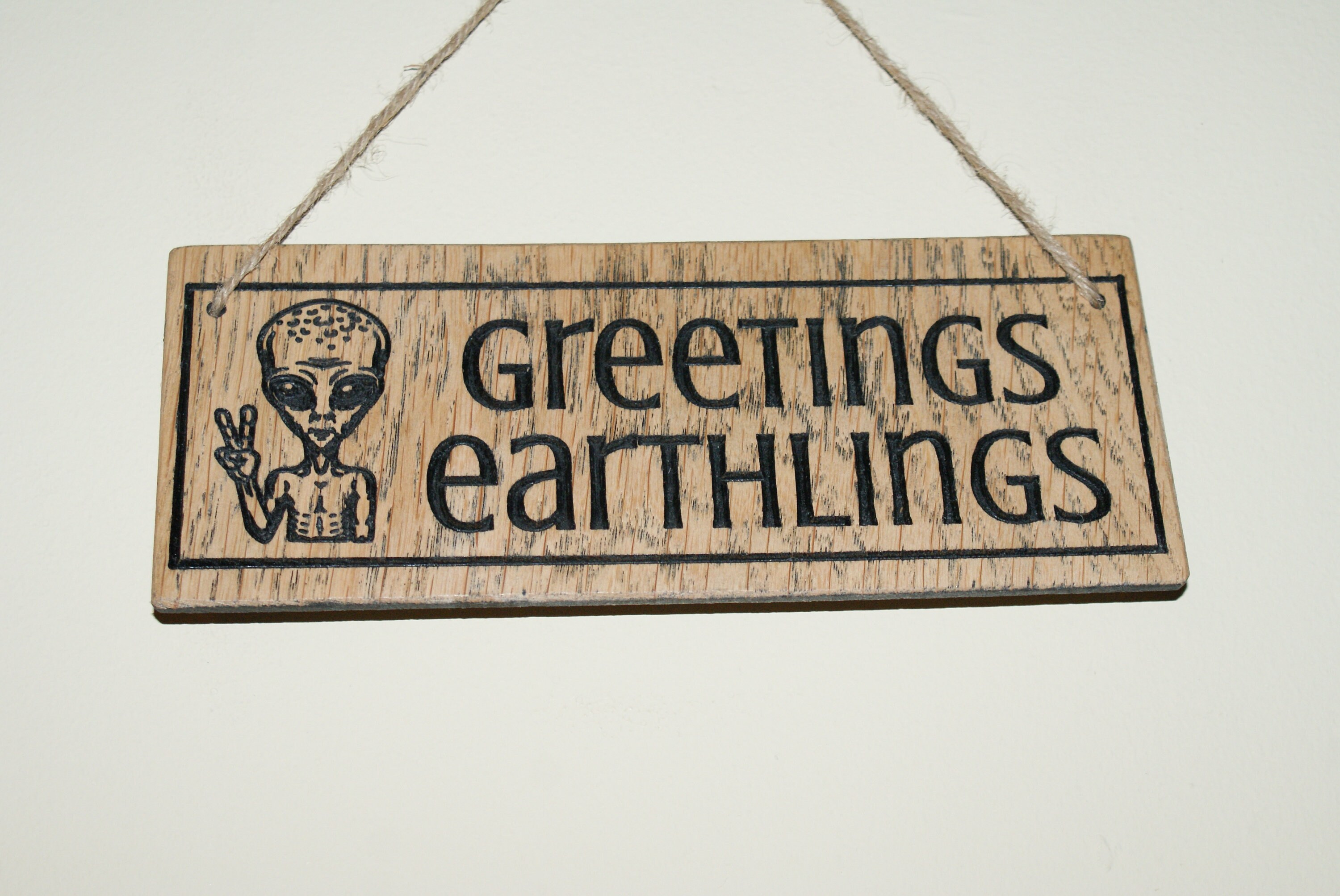 Greetings Earthlings Funny House Sign Home Decor Wall | Etsy