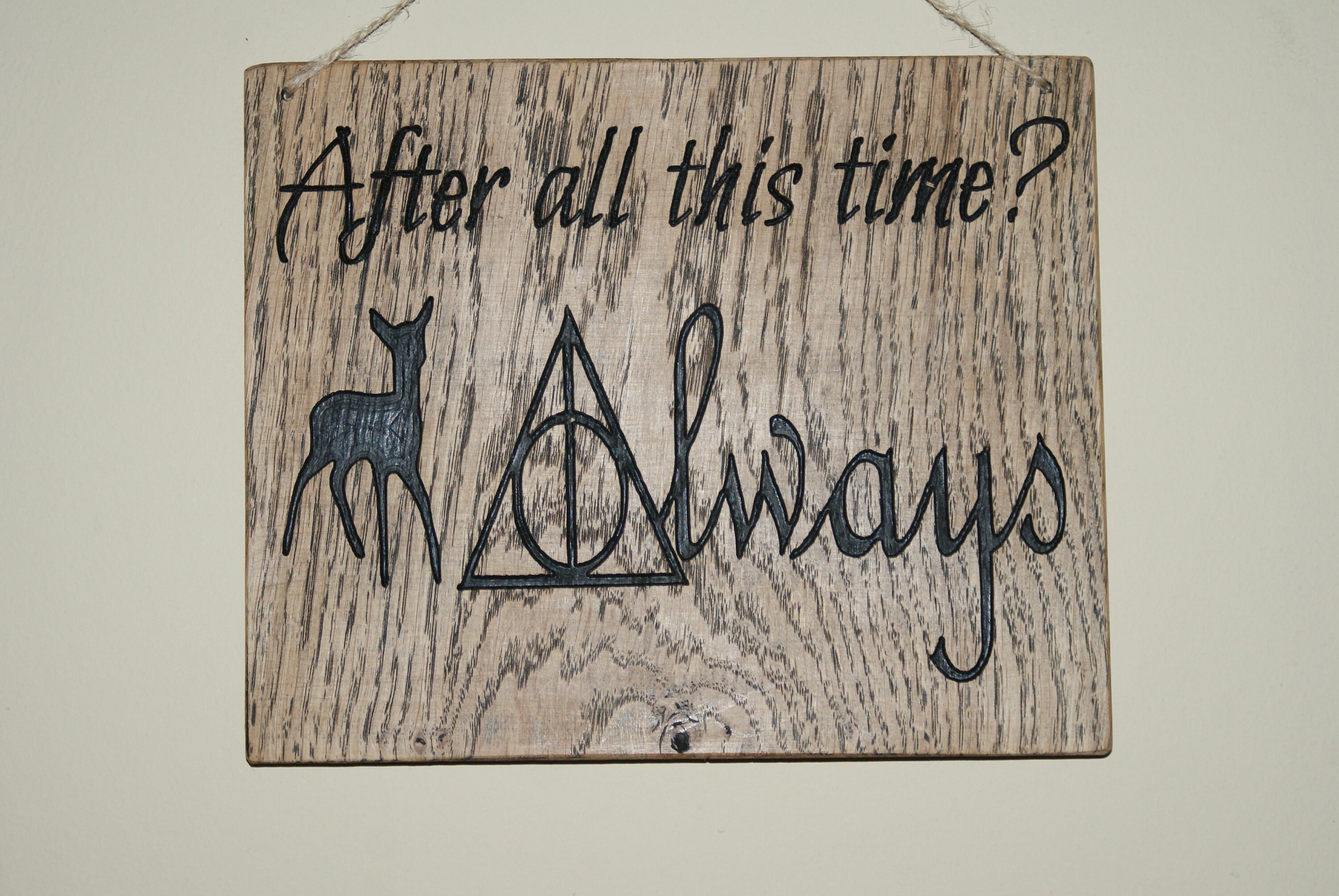 Harry Potter Wooden Sign Harry Potter Sign Wooden Sign - Etsy