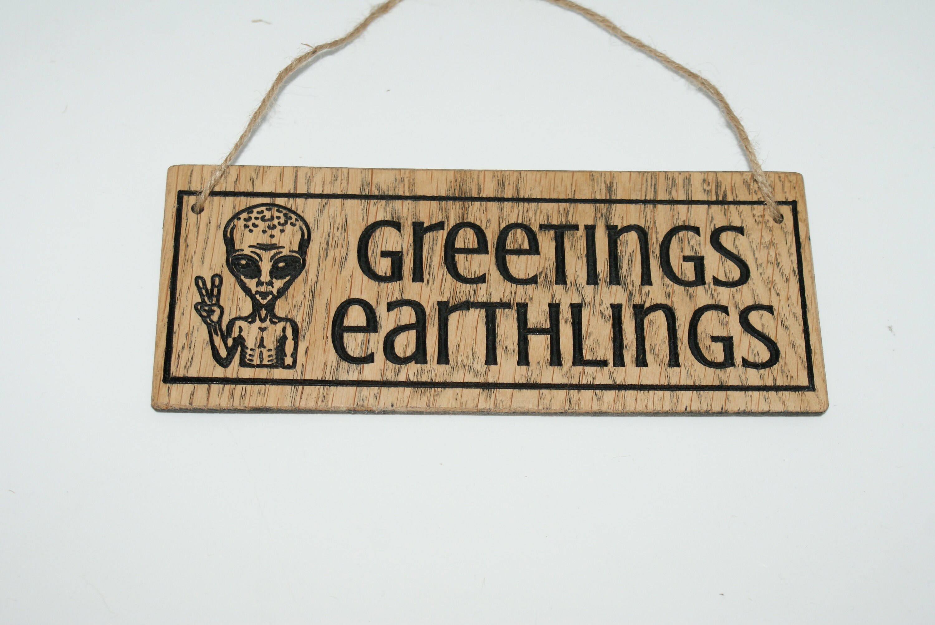 Greetings Earthlings Funny House Sign Home Decor Wall | Etsy