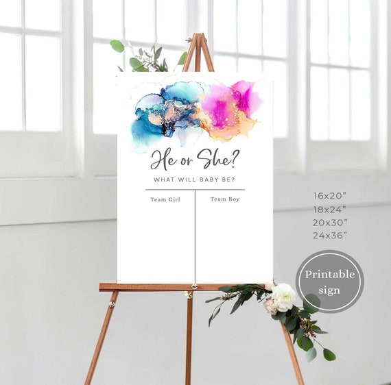 He or She Sign Pink and Blue Gender Voting Sign Watercolor Matching ...