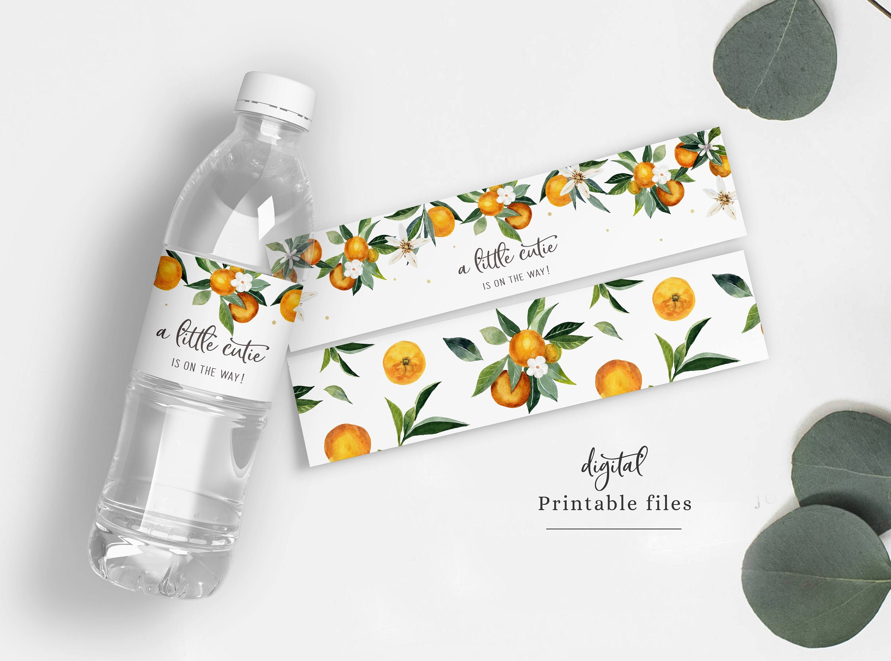 Party Supplies Paper & Party Supplies Party Décor Citrus Water Bottle ...