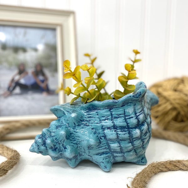Conch Shell Planter - Etsy