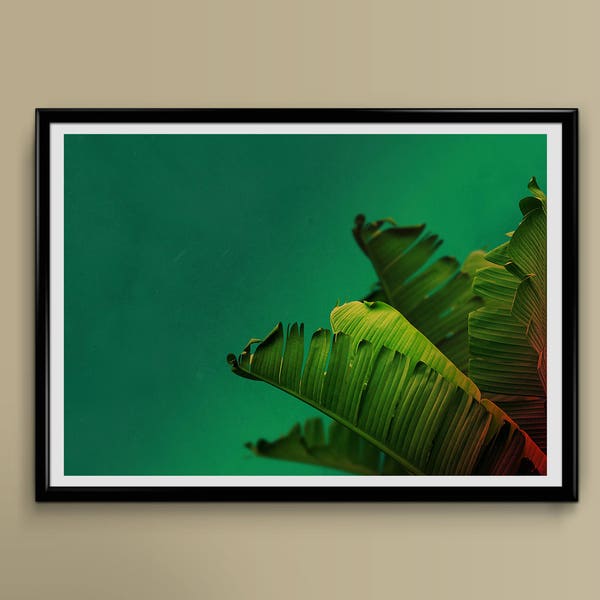Banana Leaf Poster - Etsy