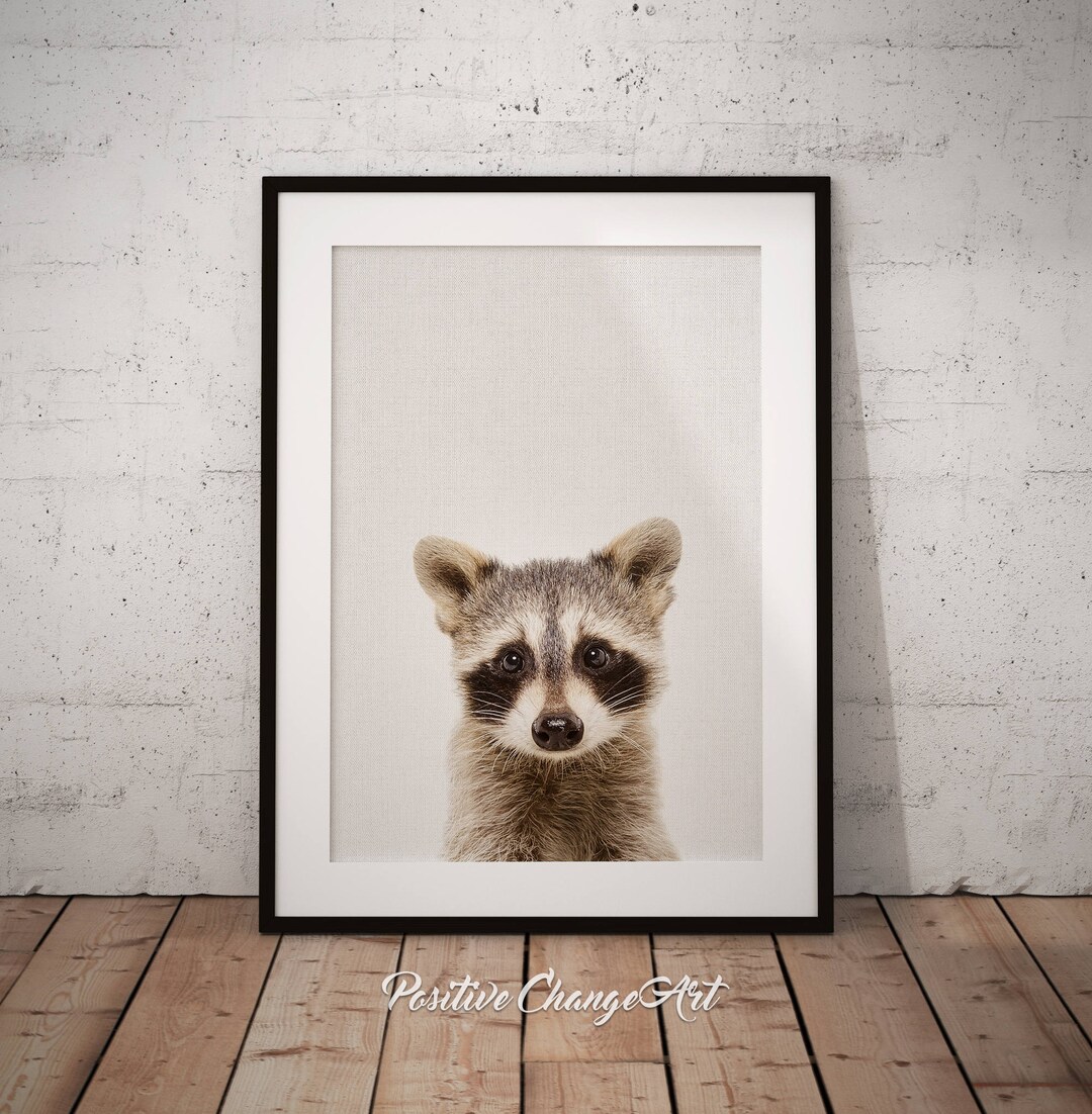 Raccoon Print, Woodland Creature Art, Nursery Raccoon Art, Woodland ...