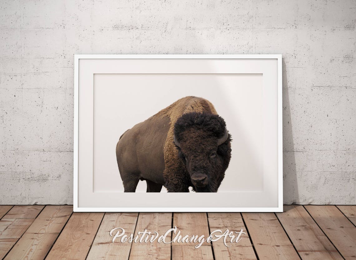 Buffalo Print Buffalo Art Print Bison Art Bison Print | Etsy