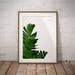 Banana Leaf, Banana Leaves, Banana Leaf Print, Palm Leaf Print ...