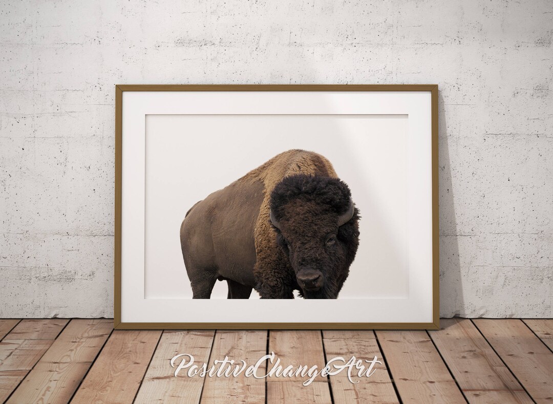 Buffalo Print, Buffalo Art Print, Bison Art, Bison Print, Buffalo Wall ...