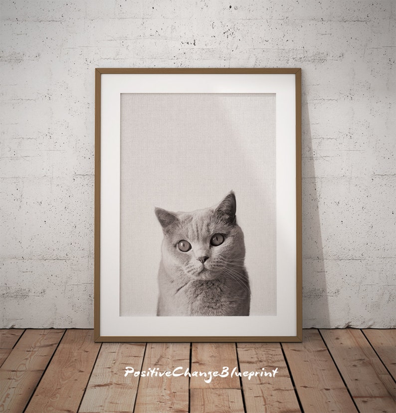 Cat Print, Cat Wall Art Decor, Cat Lover, Cat Decor, Cat Art Print, Cat ...