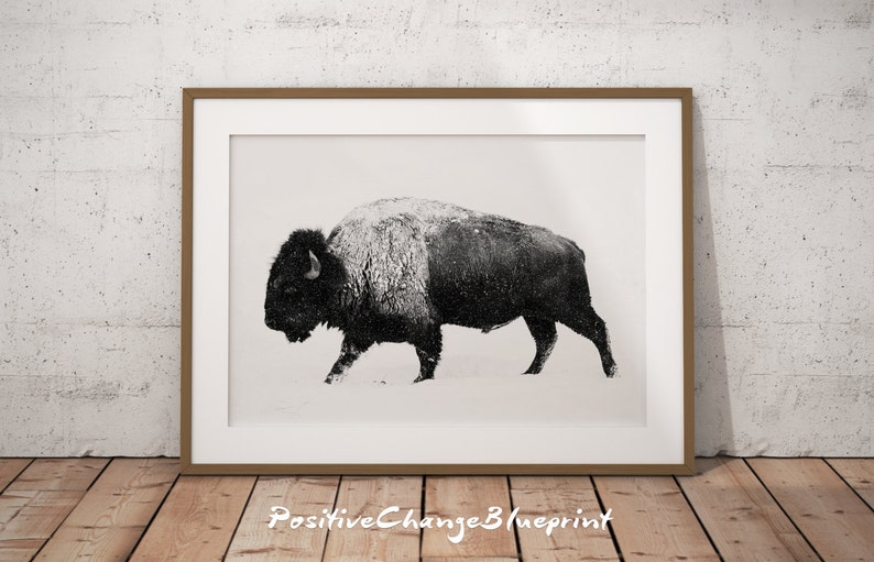 Bison Print Buffalo Printable Bison Photography Buffalo | Etsy