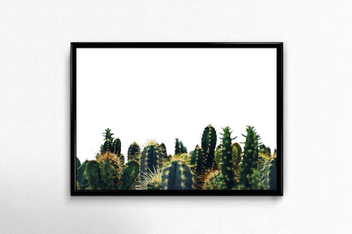 Cactus Print Cacti Print Succulent Print Art Cactus Poster - Etsy