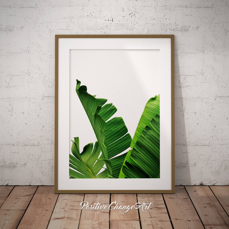 Banana Leaf Poster - Etsy