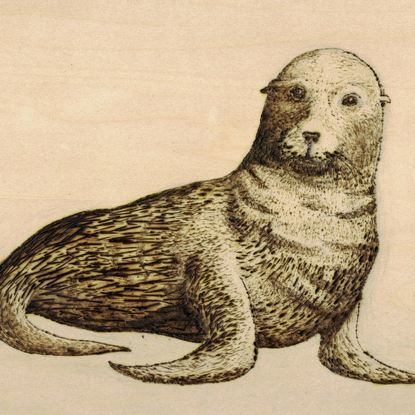 Lion Pyrography - Etsy