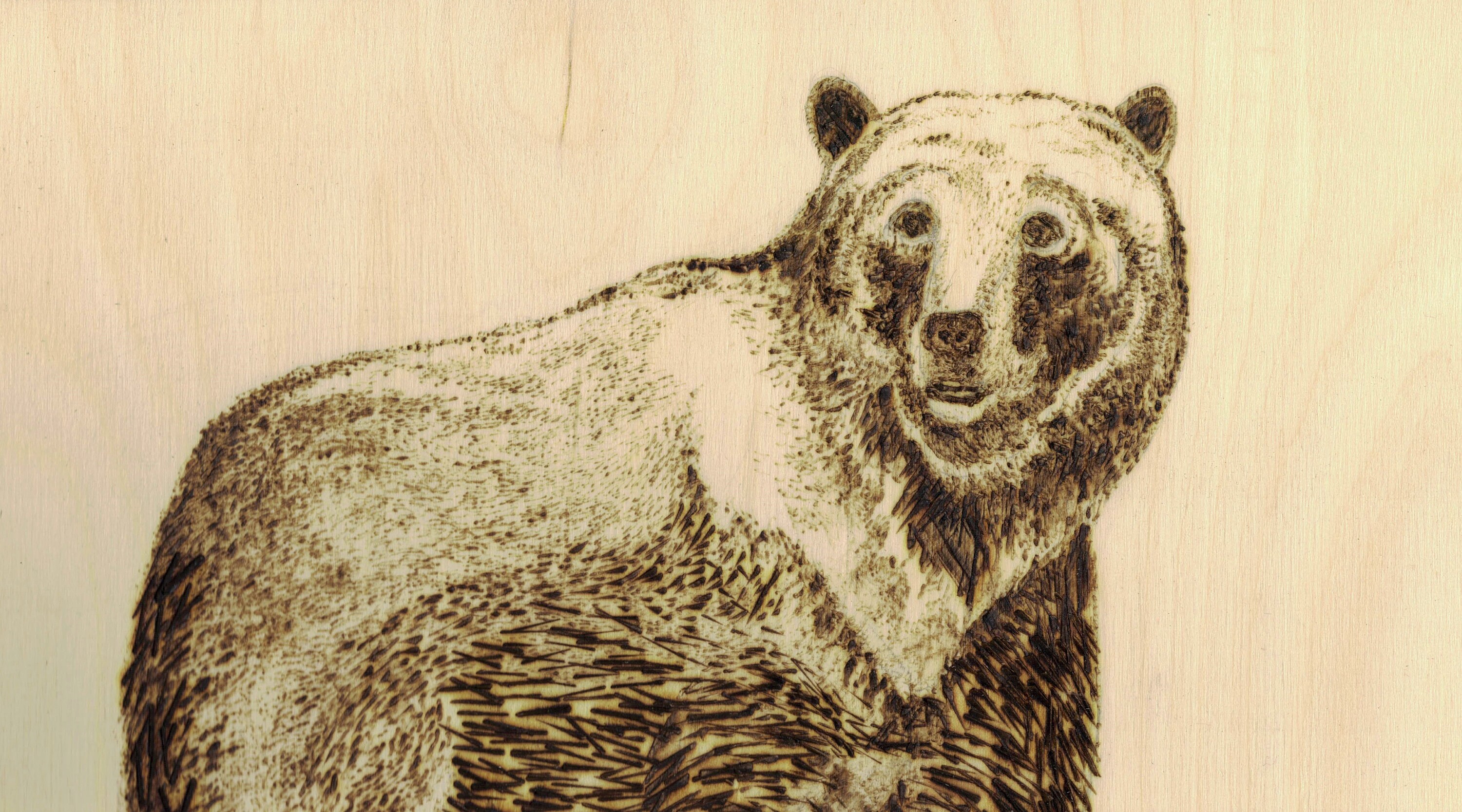 Grizzly Bear Wood Burning Print Pyrography Print Wood - Etsy