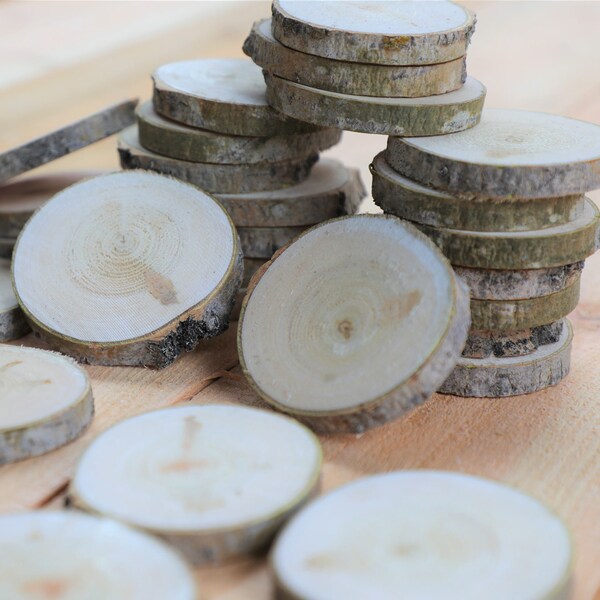 Tree Slices - Etsy