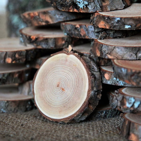 Tree Slices - Etsy