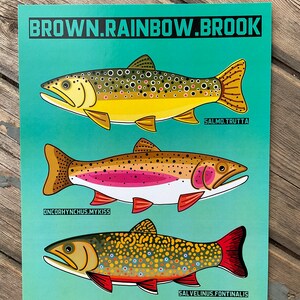 Trout Poster - Etsy