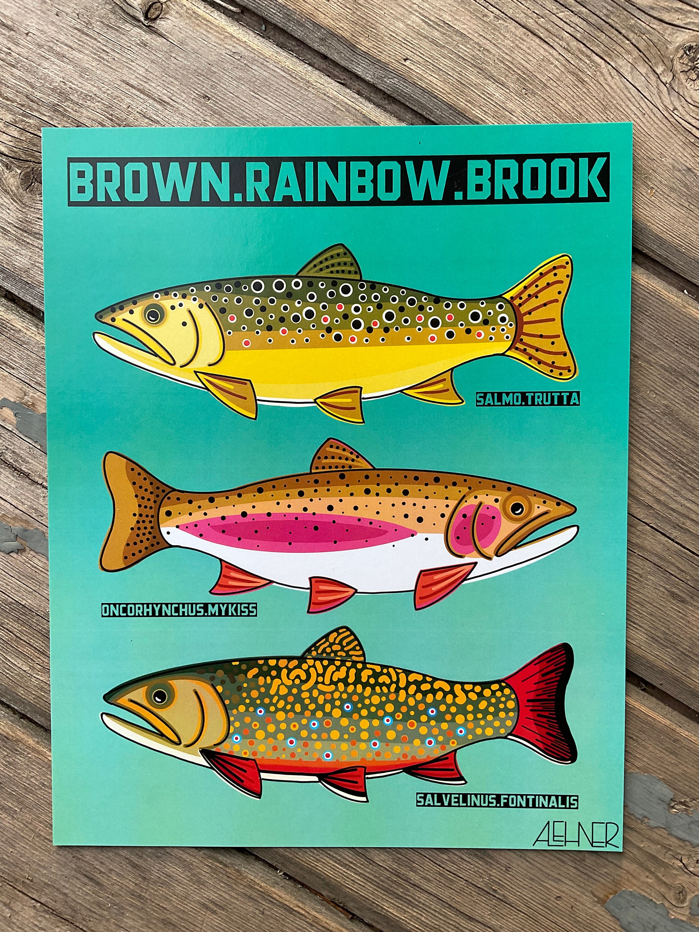 Trout Poster - Etsy