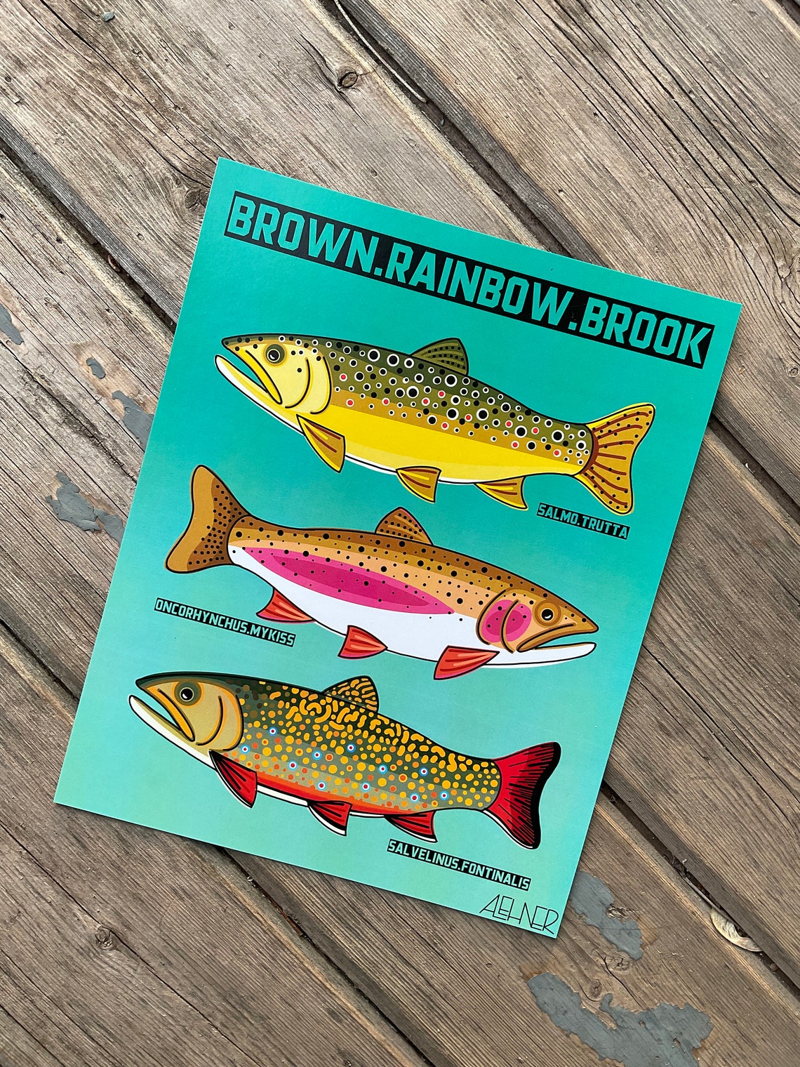 Trout Poster - Etsy