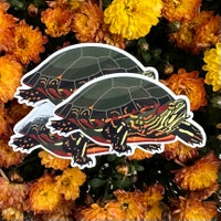 Red-eared Slider Turtle Animal Sticker - Waterproof Vinyl Sticker - Etsy