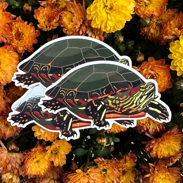 Turtle Sticker - Etsy