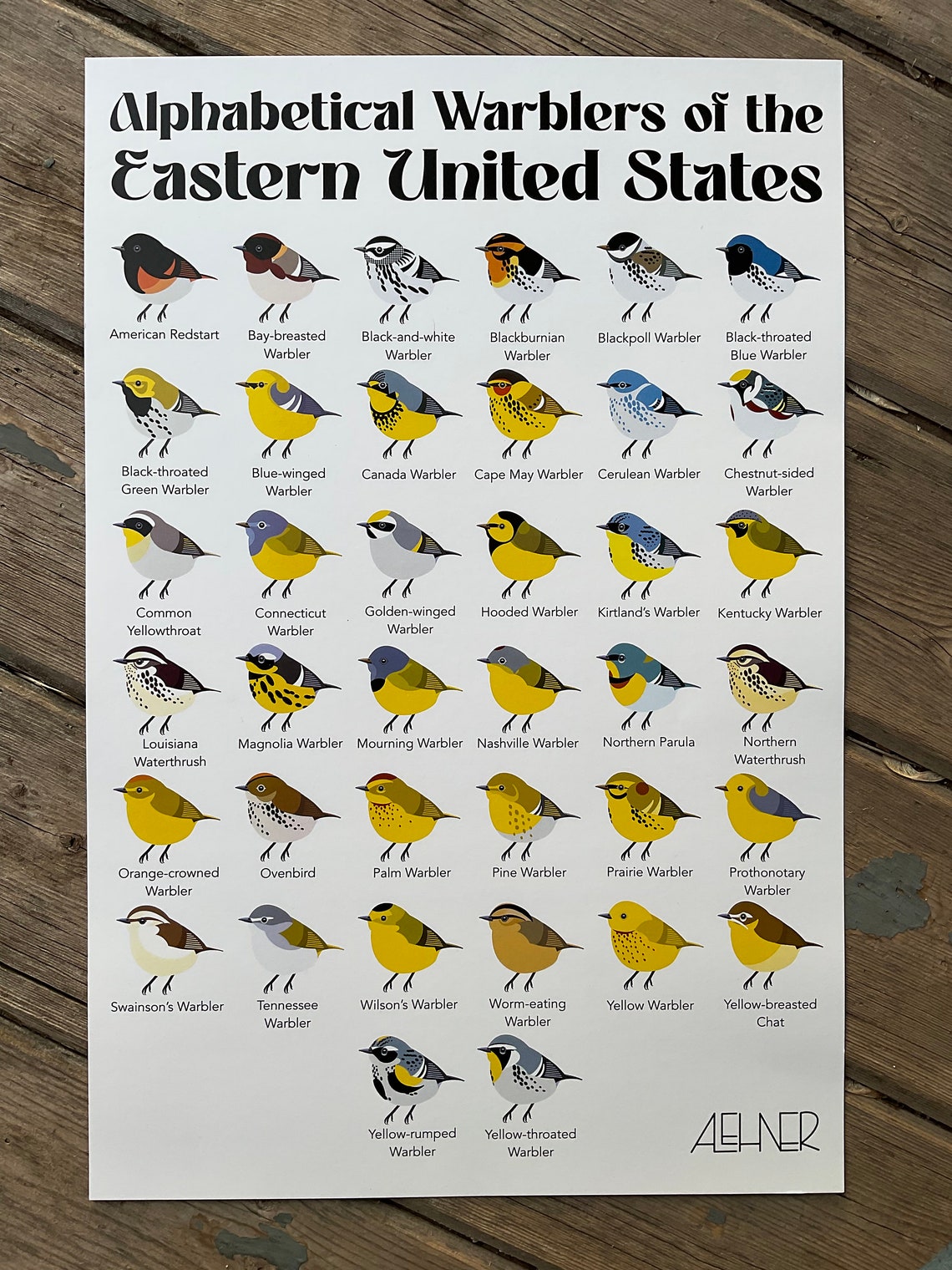 Warblers of the Eastern United States - Etsy