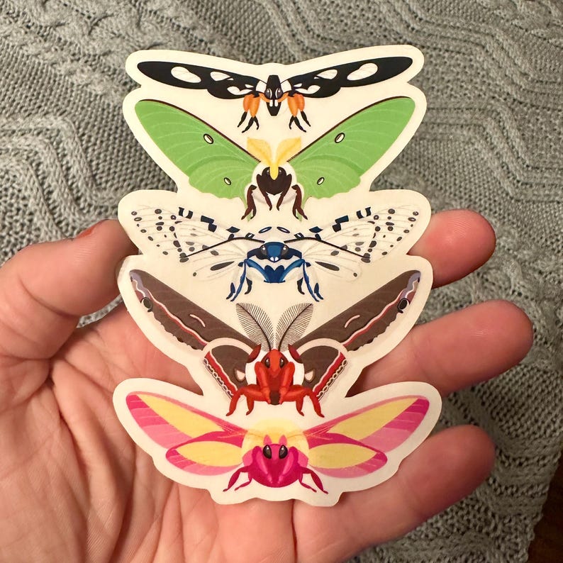 Moth Madness Sticker - Etsy