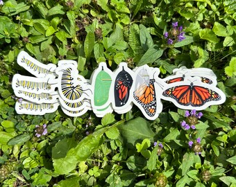 Monarch Caterpillar - Etsy