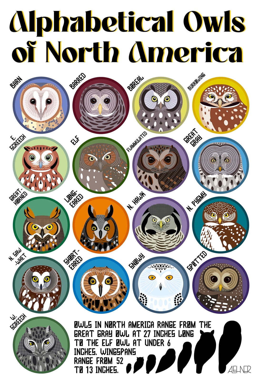Owls of North America - Etsy