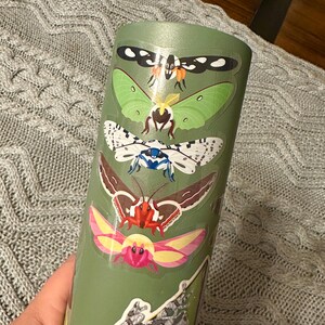 Moth Madness Sticker - Etsy