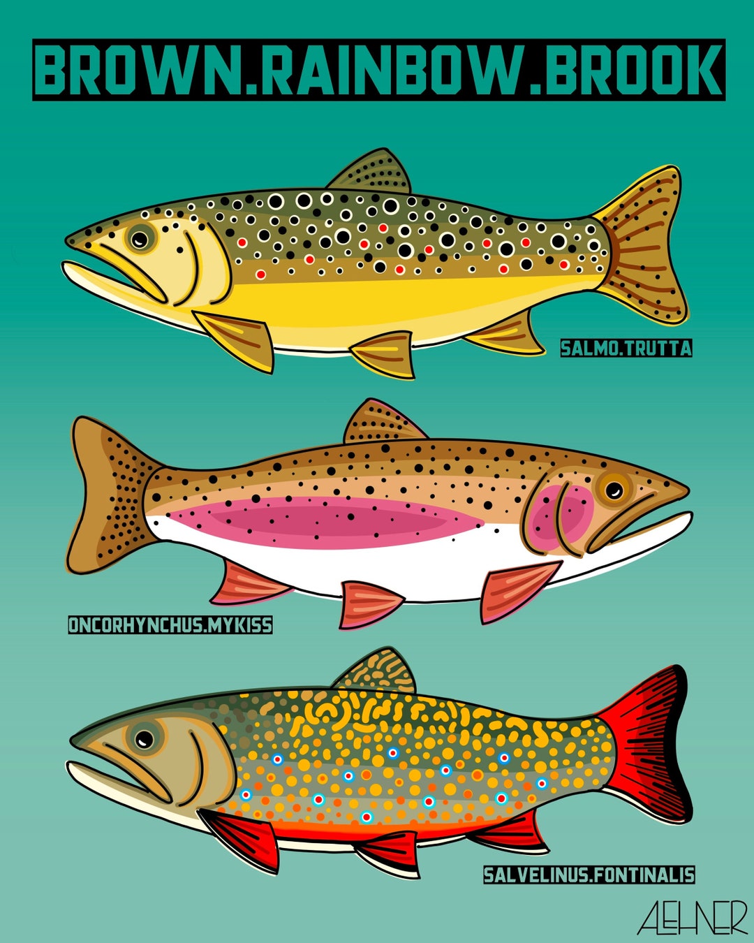 Trout Poster - Etsy