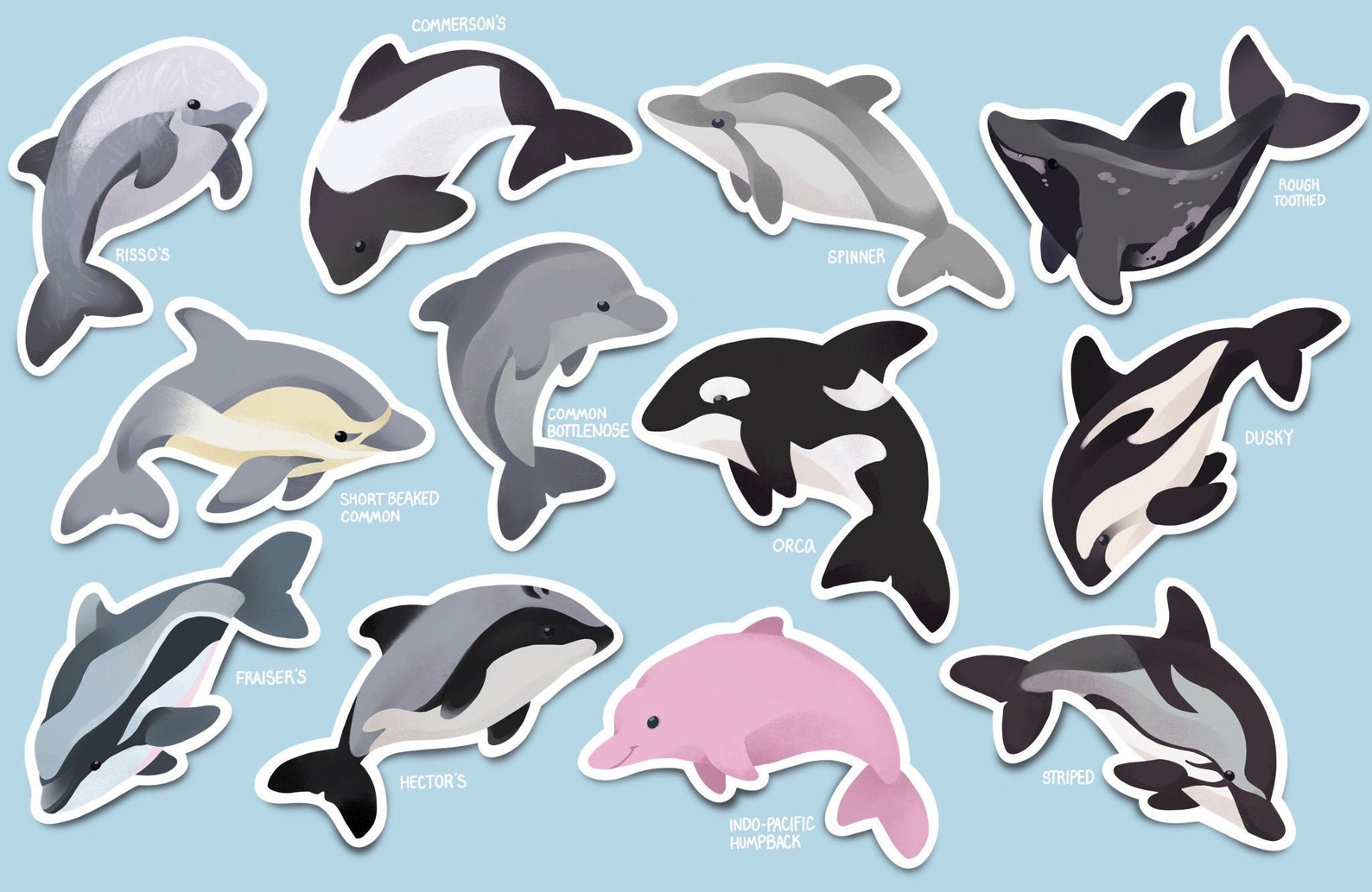 Dolphin Stickers FREE Shipping | Etsy