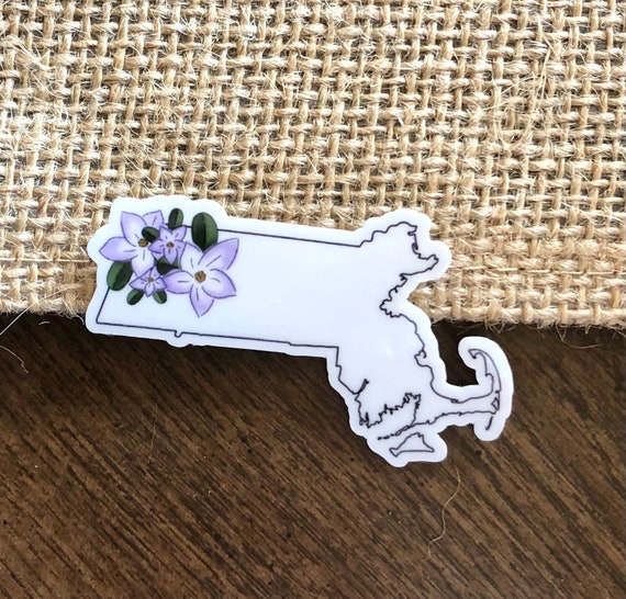 Massachusetts Sticker State Flower Massachusetts State - Etsy