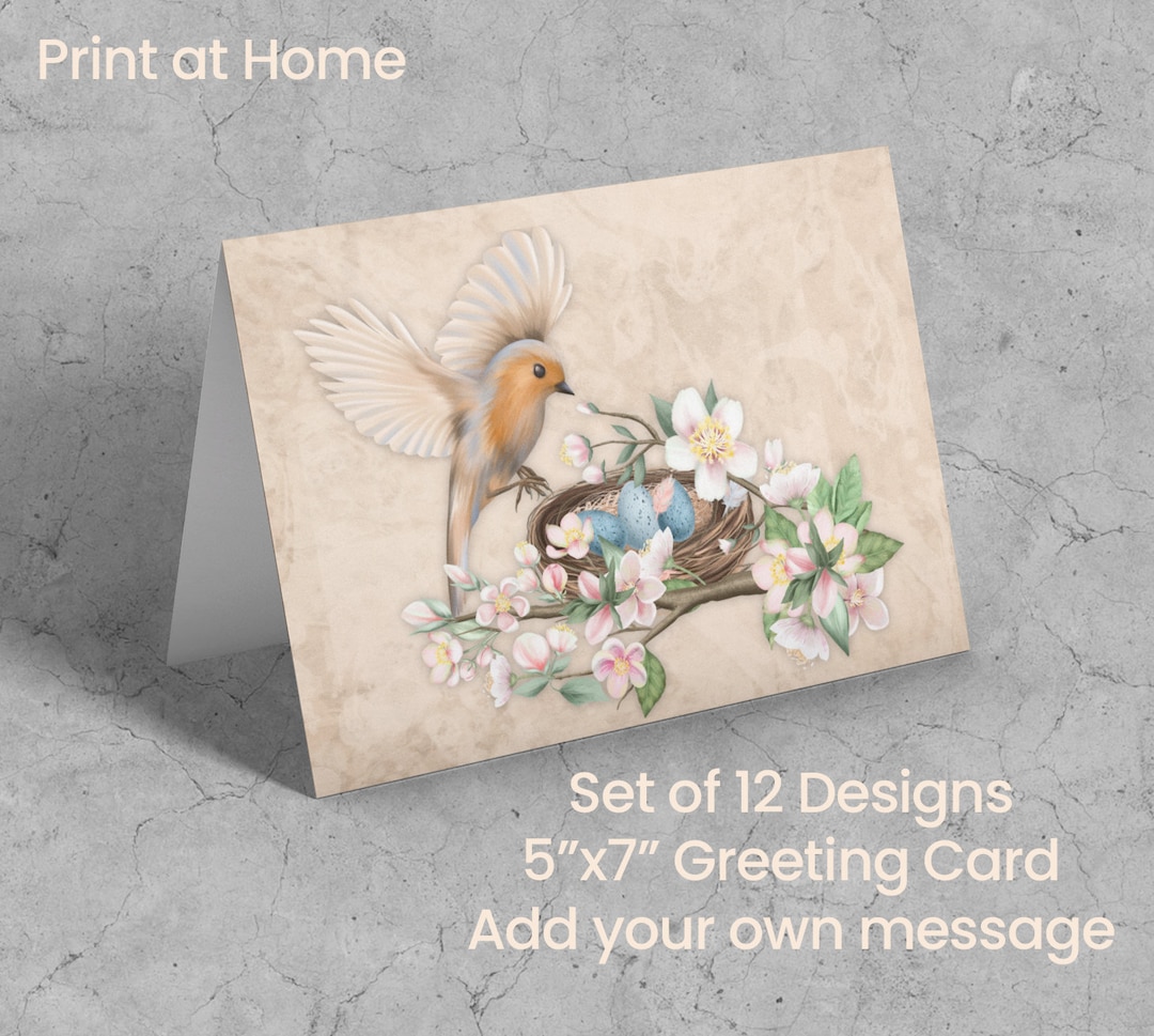 Printable Greeting Cards Set of 12 / Beautiful Birds Blank - Etsy