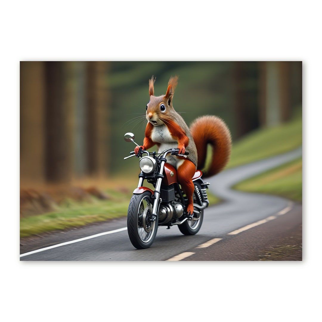 Red Squirrel Riding Motorcycle Scottish Wildlife Print - A Fearful ...