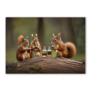 Red Squirrels Drinking Whisky Scottish Wildlife Print (january in 2024 ...