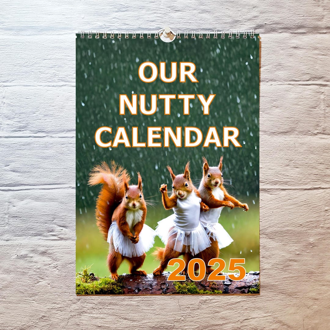 2025 Squirrel Calendar - Single Page - Etsy