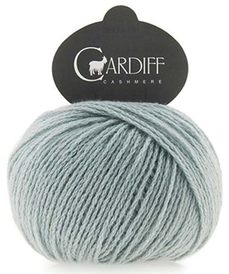 Cardiff Cashmere Classic Yarn 677 Mose Light Seafoam Blue - Etsy