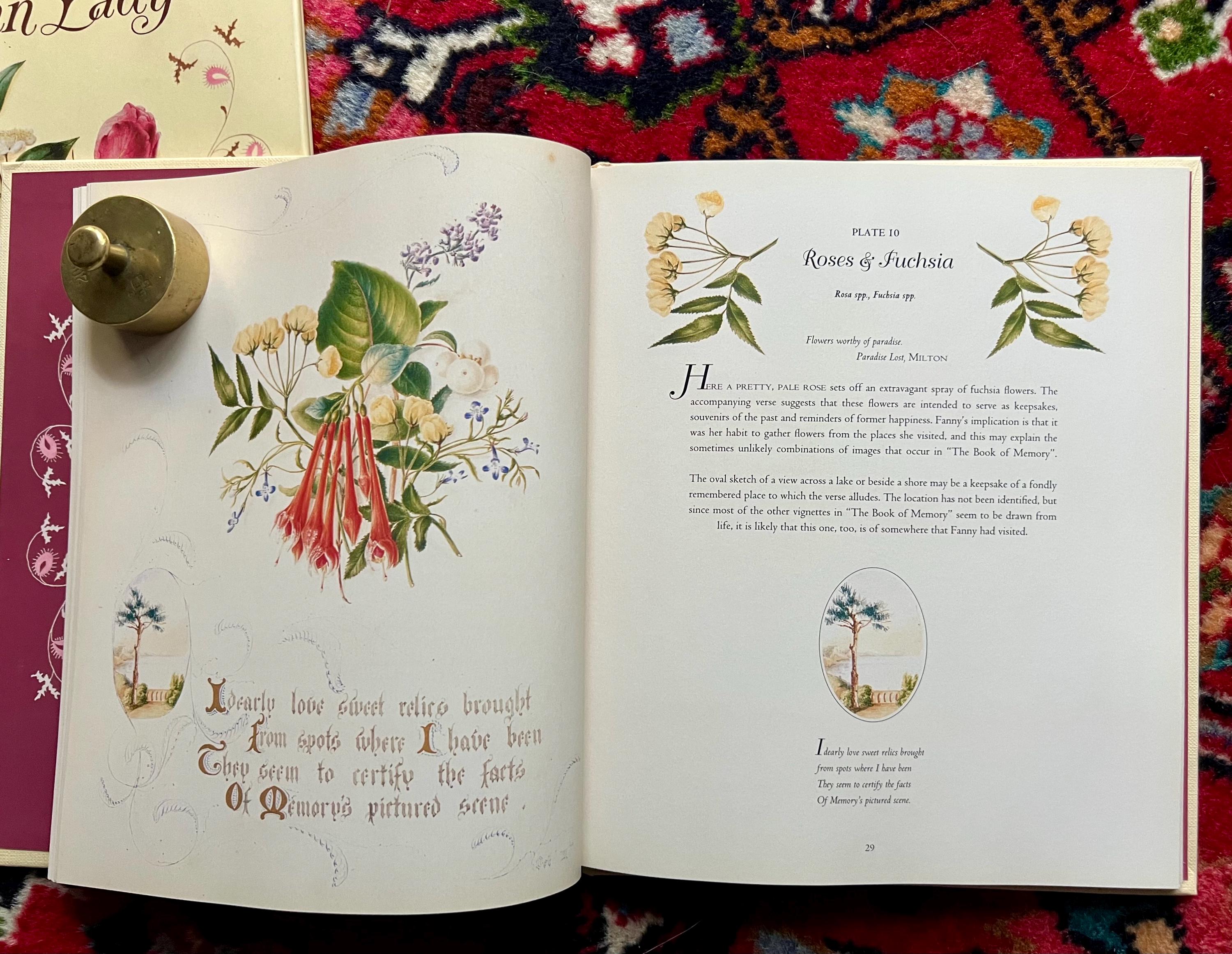 Victorian Flower Book: Fanny Robinson's 1840s Flower Studies, 1999 ...